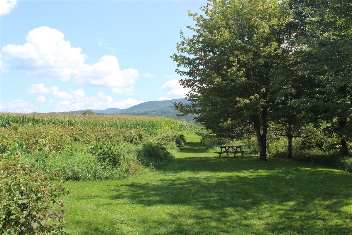 Quiet Path | Town of Stowe